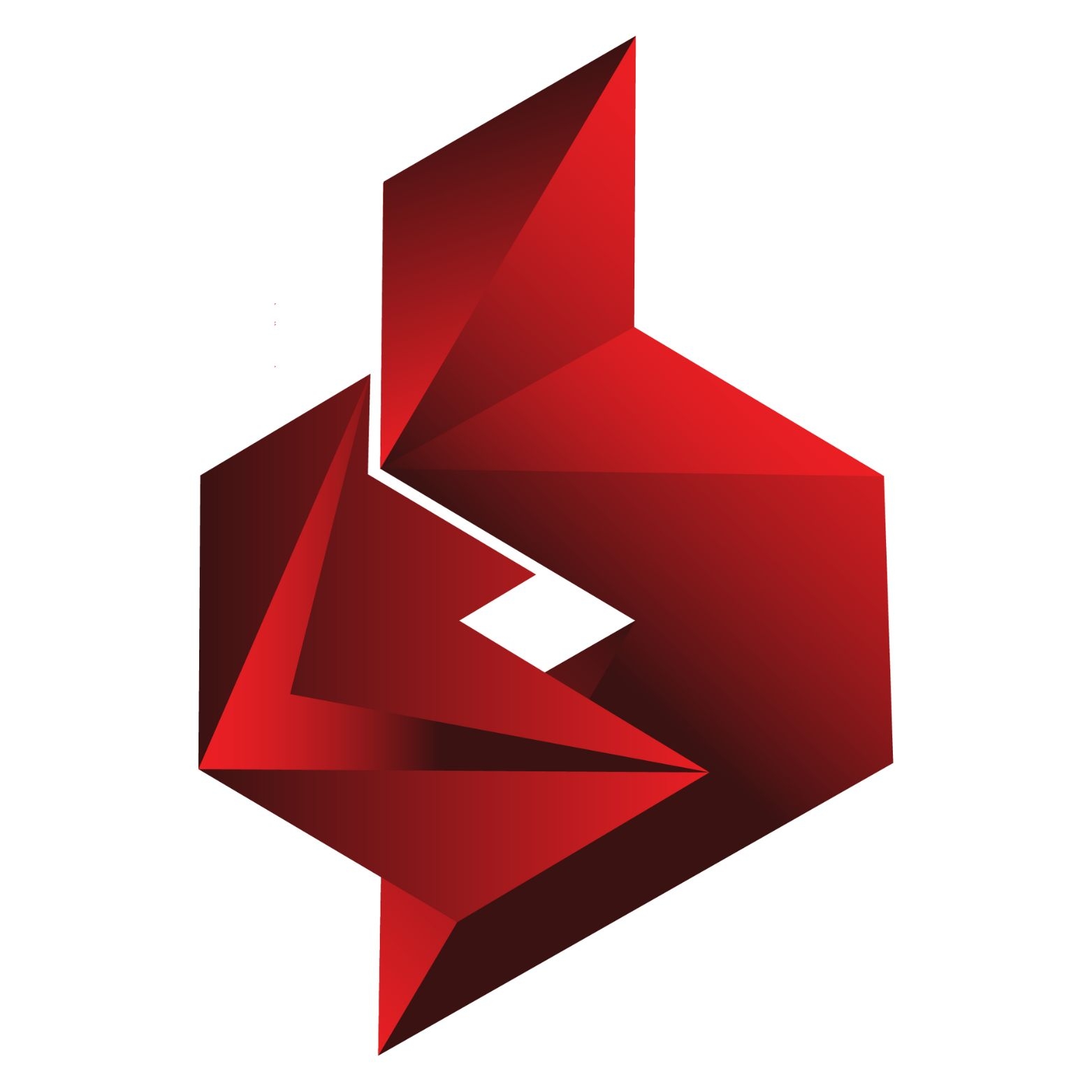 Backdoor Security Agency